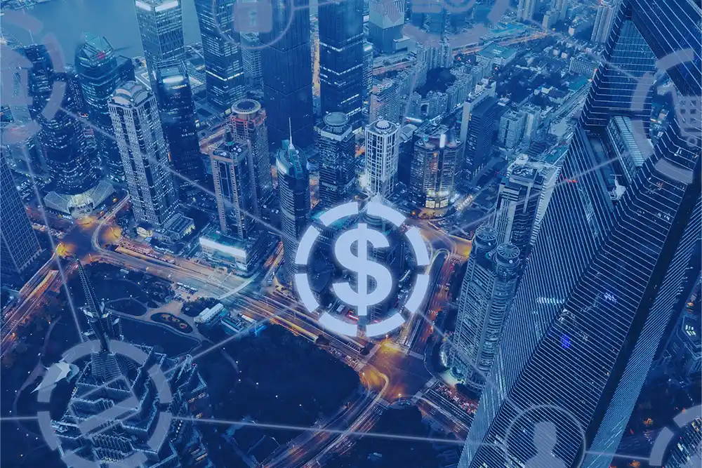 Advisory Services - Delbridge Solutions